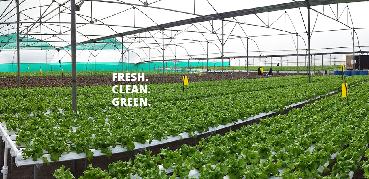 Welcome to FutureFarms – FutureFarms.store