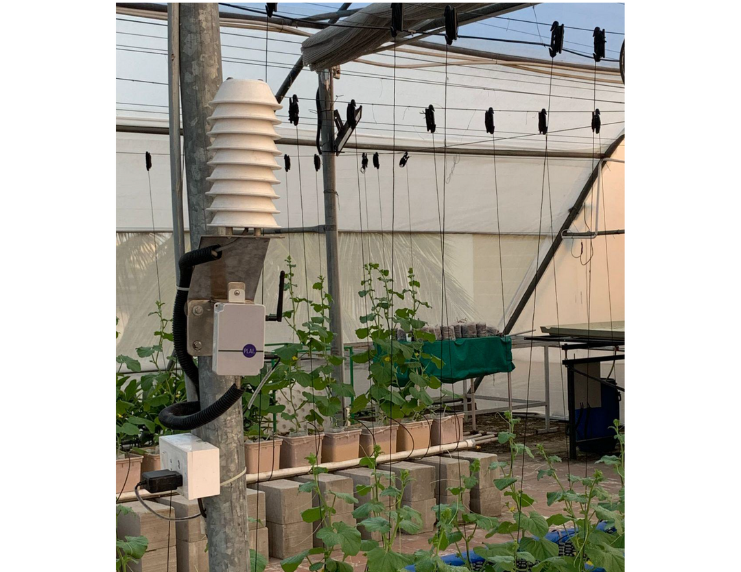 Irrigation & Fertigation Automation System – FutureFarms.store