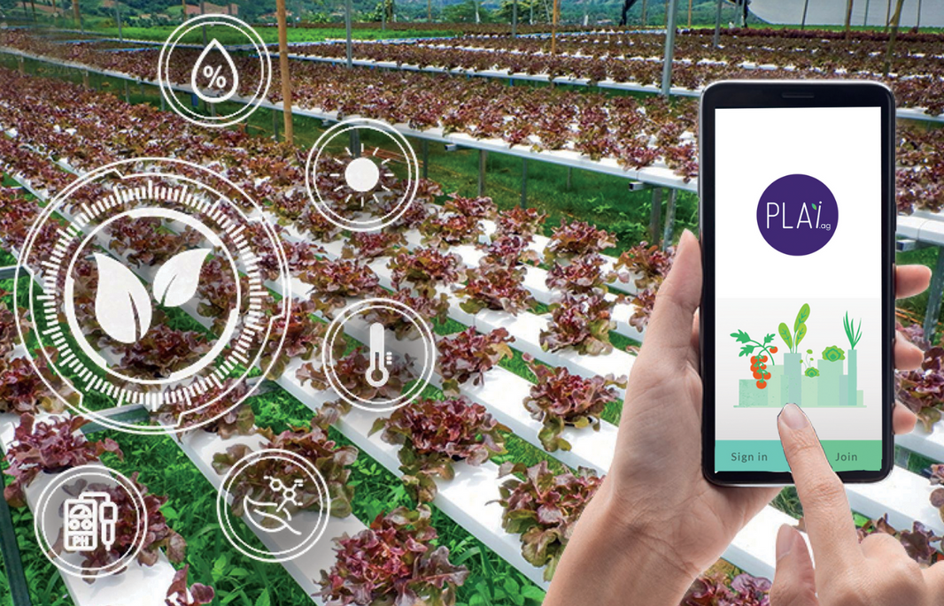 Irrigation & Fertigation Automation SystemWelcome to FutureFarms ...